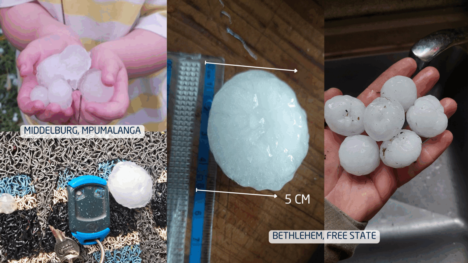 Celebrating Summer 2025